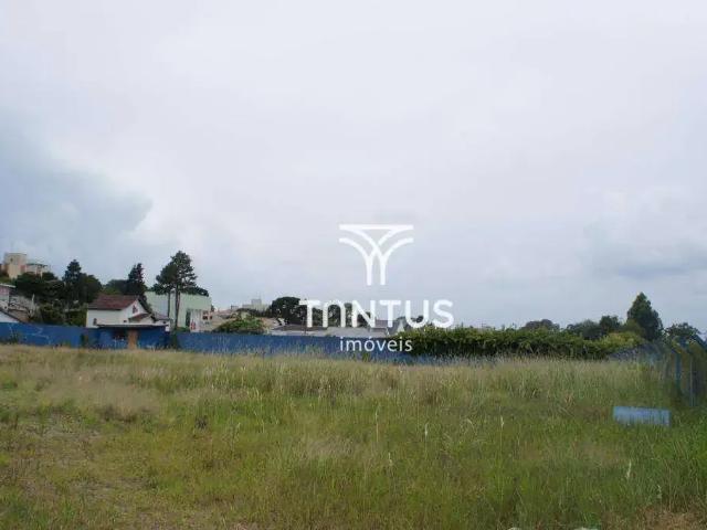 Terreno / Lote para Venda em Curitiba/PR Tingui