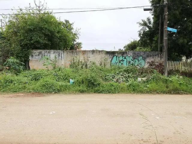 Terreno / Lote para Venda em Curitiba/PR Uberaba