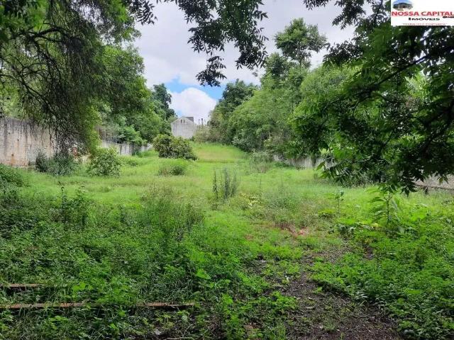 Terreno / Lote para Venda em Curitiba/PR Uberaba