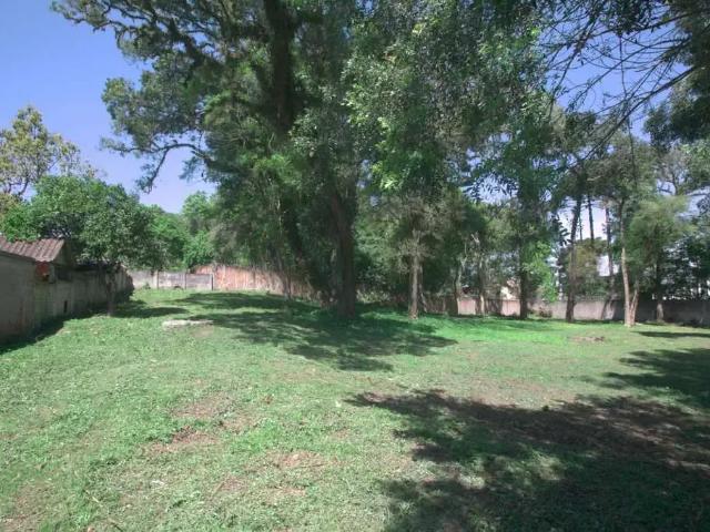 Terreno / Lote para Venda em Curitiba/PR Uberaba