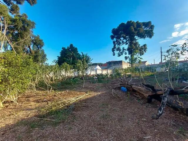 Terreno / Lote para Venda em Curitiba/PR Uberaba