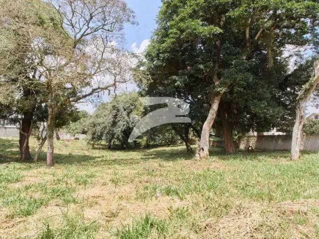 Terreno / Lote para Venda em Curitiba/PR Umbará
