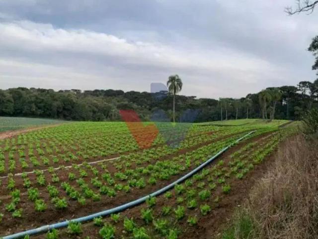 Terreno / Lote para Venda em Curitiba/PR Umbará