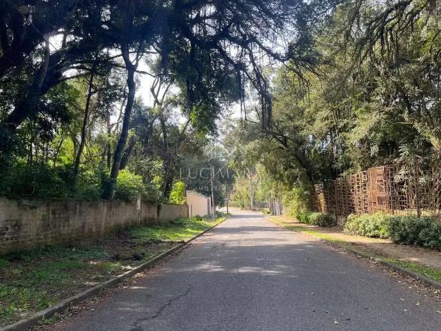 Terreno / Lote para Venda em Curitiba/PR Vista Alegre