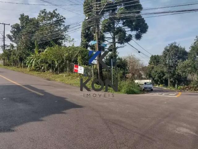 Terreno / Lote para Venda em Curitiba/PR Vista Alegre