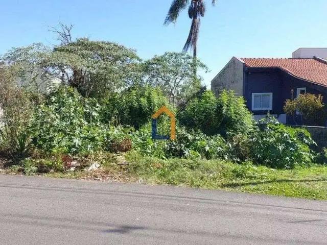 Terreno / Lote para Venda em Curitiba/PR Vista Alegre