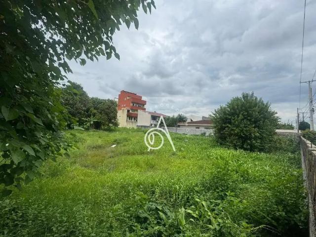 Terreno / Lote para Venda em Curitiba/PR Xaxim