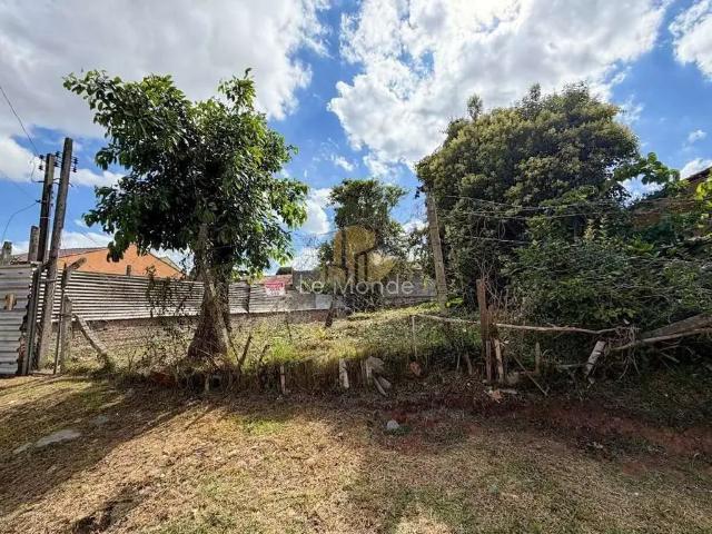 Terreno / Lote para Venda em Curitiba/PR Xaxim