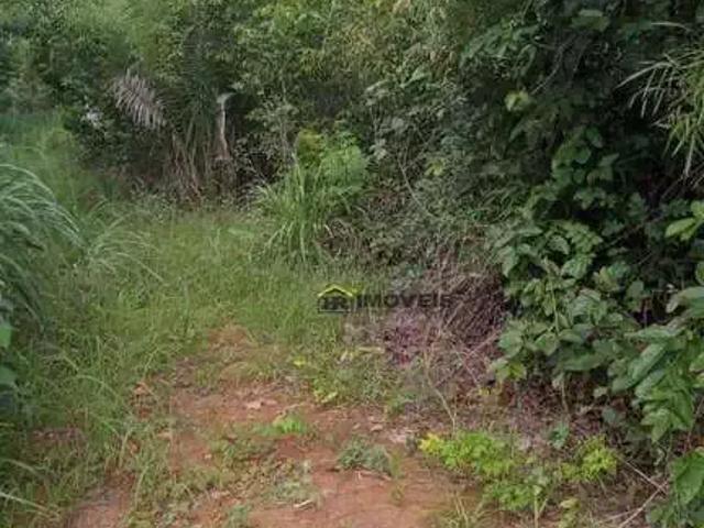 Terreno / Lote para Venda em Demerval Lobão/PI Zona Rural