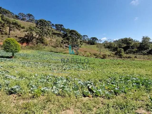 Terreno / Lote para Venda em Delfim Moreira/MG Centro