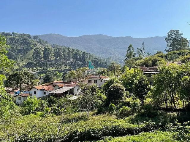Terreno / Lote para Venda em Delfim Moreira/MG Centro