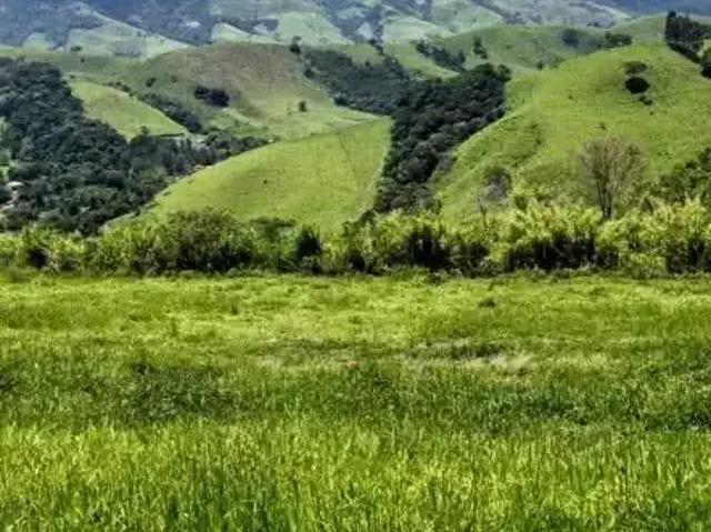 Terreno / Lote para Venda em Delfim Moreira/MG Zona Rural