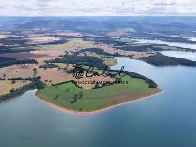 Terreno / Lote para Venda em Delfinópolis/MG Zona Rural