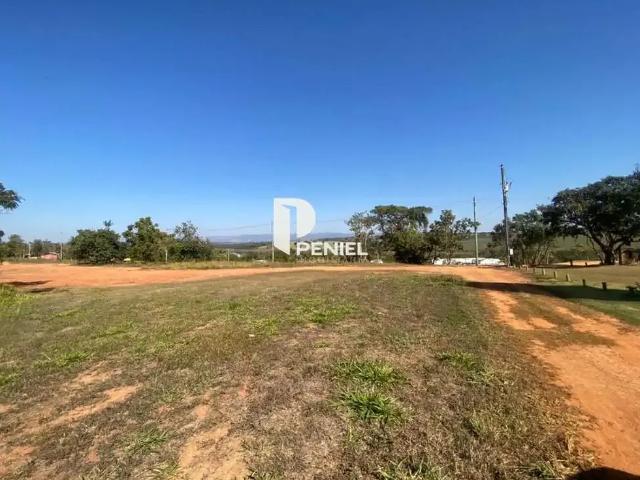Terreno / Lote para Venda em Delfinópolis/MG Centro