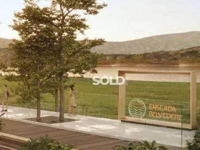 Terreno / Lote para Venda em Delfinópolis/MG Centro