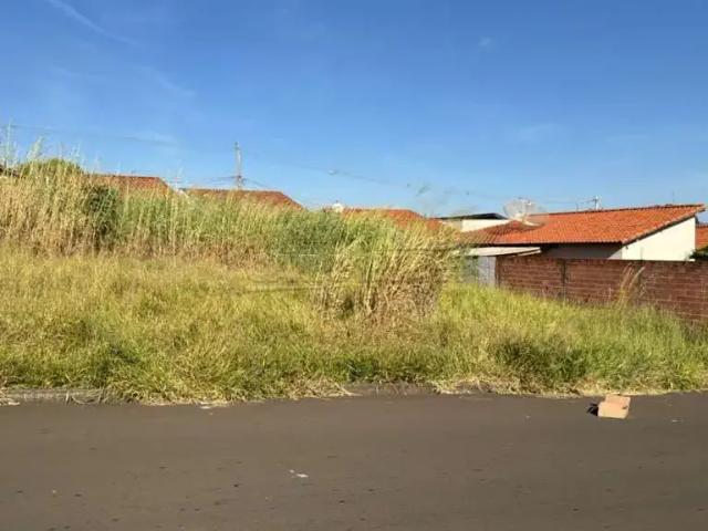 Terreno / Lote para Venda em Descalvado/SP Bosque do Tamanduá