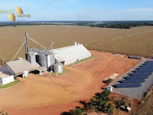 Terreno / Lote para Venda em Diamantino/MT Zona Rural
