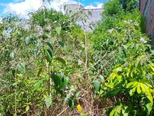 Terreno / Lote para Venda em Dias D'Ávila/BA Centro