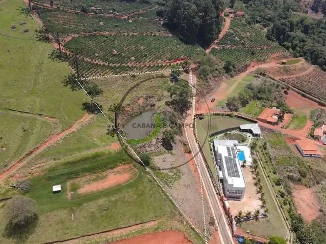 Terreno / Lote para Venda em Divinolândia/SP Zona Rural