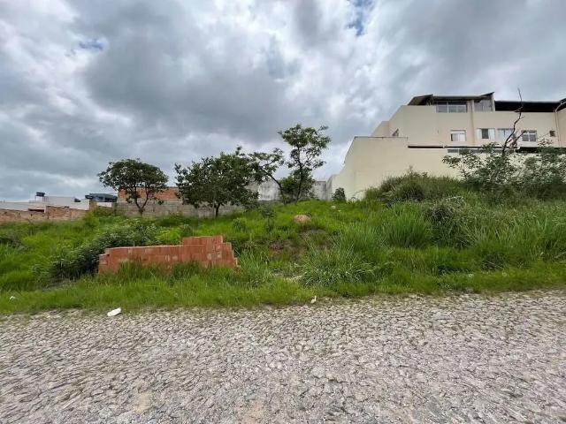 Terreno / Lote para Venda em Divinópolis/MG Das Oliveiras