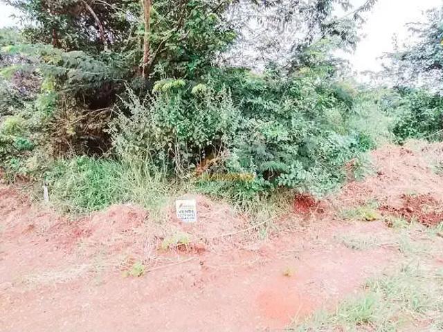 Terreno / Lote para Venda em Divinópolis/MG Floramar