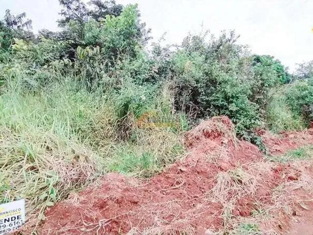 Terreno / Lote para Venda em Divinópolis/MG Floramar