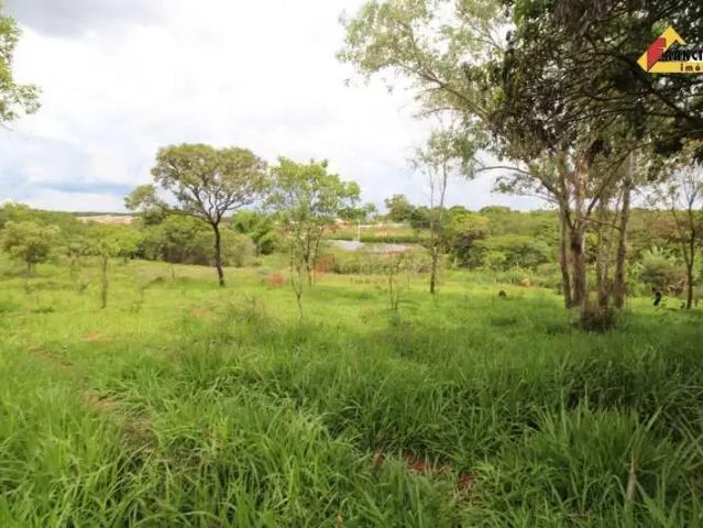 Terreno / Lote para Venda em Divinópolis/MG Grajaú