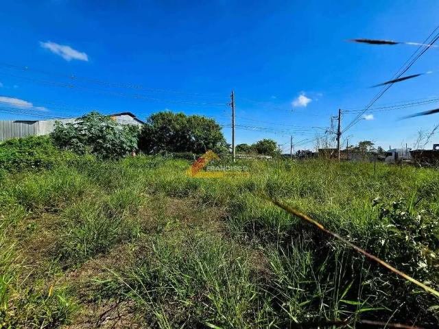 Terreno / Lote para Venda em Divinópolis/MG Jardim Candidés