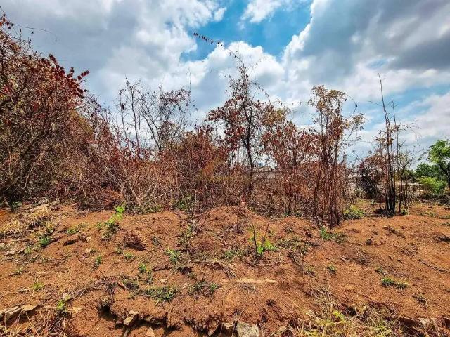 Terreno / Lote para Venda em Divinópolis/MG Jardim Candidés