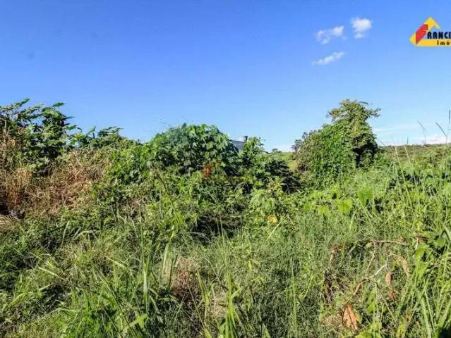 Terreno / Lote para Venda em Divinópolis/MG Primavera