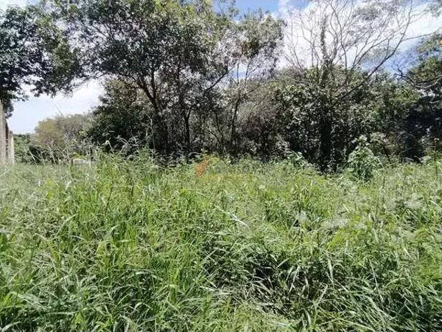 Terreno / Lote para Venda em Divinópolis/MG Primavera