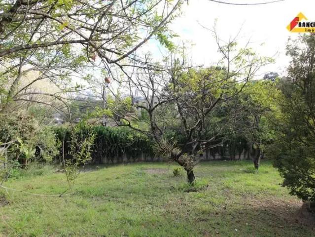 Terreno / Lote para Venda em Divinópolis/MG São Luís