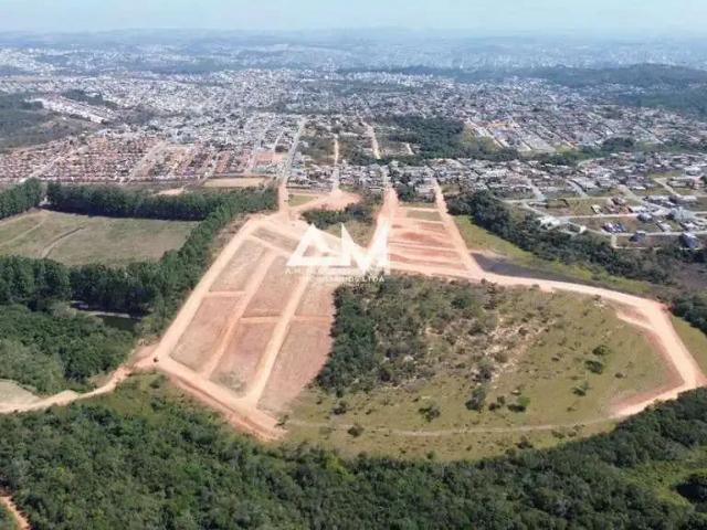 Terreno / Lote para Venda em Divinópolis/MG Santa Lúcia