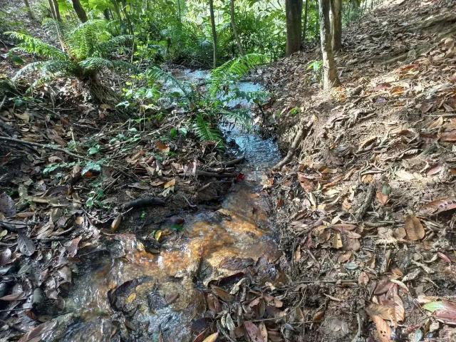 Terreno / Lote para Venda em Domingos Martins/ES Pedra Azul