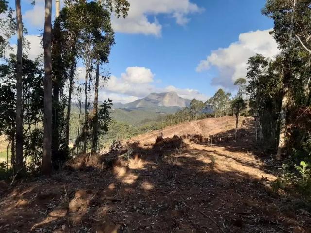 Terreno / Lote para Venda em Domingos Martins/ES Pedra Azul