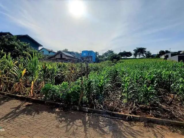 Terreno / Lote para Venda em Dois Irmãos/RS Bela Vista