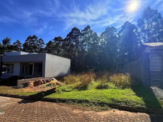 Terreno / Lote para Venda em Dois Irmãos/RS Bela Vista