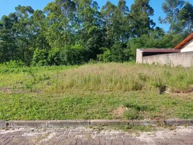 Terreno / Lote para Venda em Dois Irmãos/RS Bela Vista