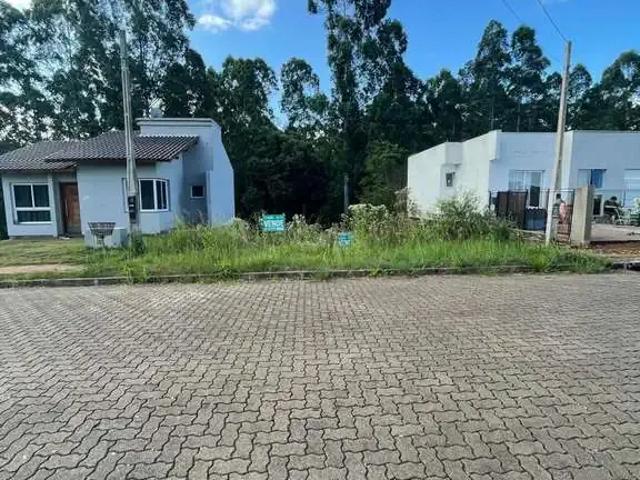 Terreno / Lote para Venda em Dois Irmãos/RS Bela Vista