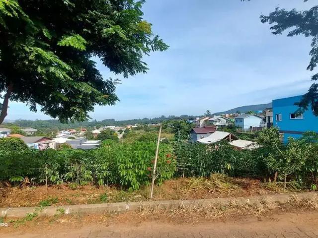 Terreno / Lote para Venda em Dois Irmãos/RS Bela Vista