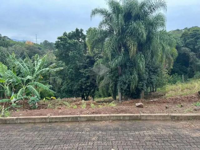 Terreno / Lote para Venda em Dois Irmãos/RS Industrial