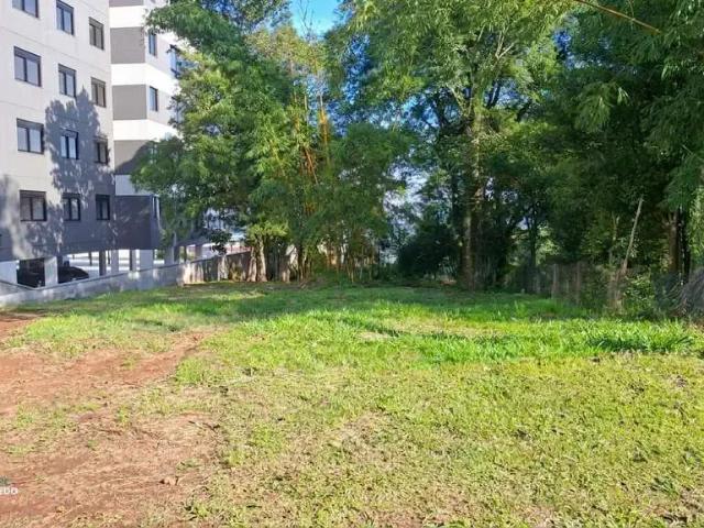 Terreno / Lote para Venda em Dois Irmãos/RS Primavera
