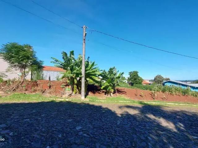 Terreno / Lote para Venda em Dois Irmãos/RS Primavera