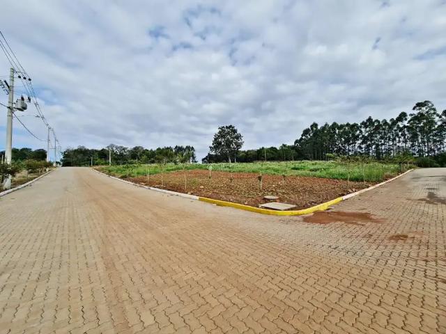 Terreno / Lote para Venda em Dois Irmãos/RS São João
