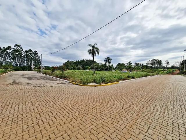 Terreno / Lote para Venda em Dois Irmãos/RS São João