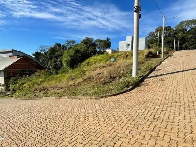 Terreno / Lote para Venda em Dois Irmãos/RS São João