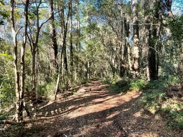 Terreno / Lote para Venda em Dois Irmãos/RS Travessão