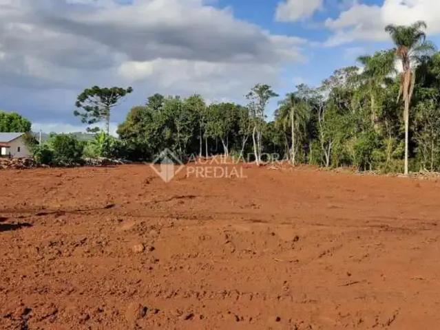 Terreno / Lote para Venda em Dois Irmãos/RS Travessão