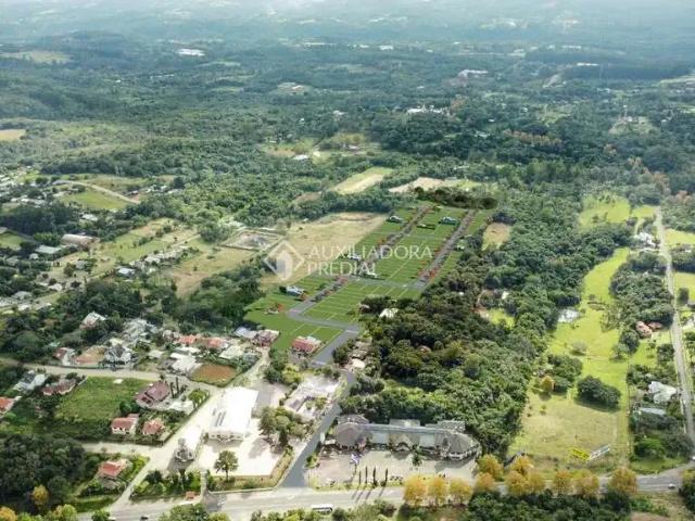 Terreno / Lote para Venda em Dois Irmãos/RS Travessão