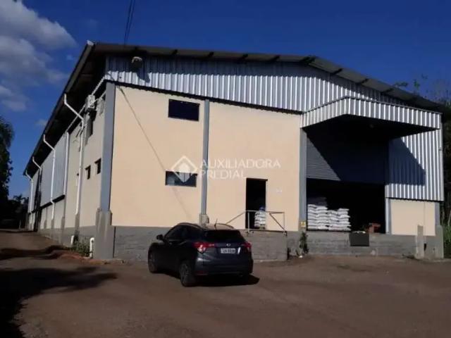 Terreno / Lote para Venda em Dois Irmãos/RS Travessão